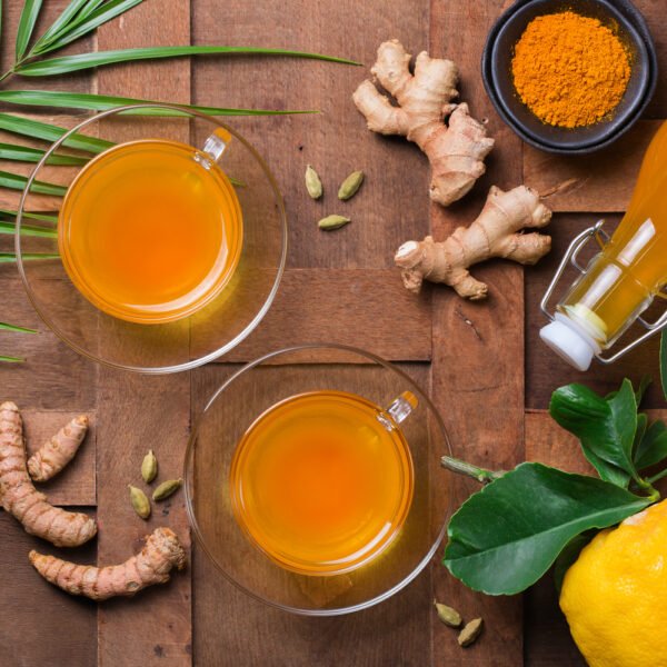 Phase One of the Ancestral Autoimmune Protocol (A-AIP) - All Thing ...